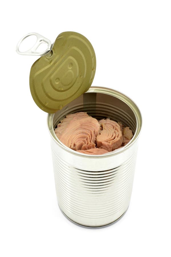 Tuna pieces in a can stock photo. Image of canned, container - 313711630