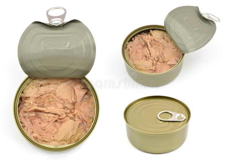 Tuna pieces in a can stock photo. Image of canned, fish - 313711670
