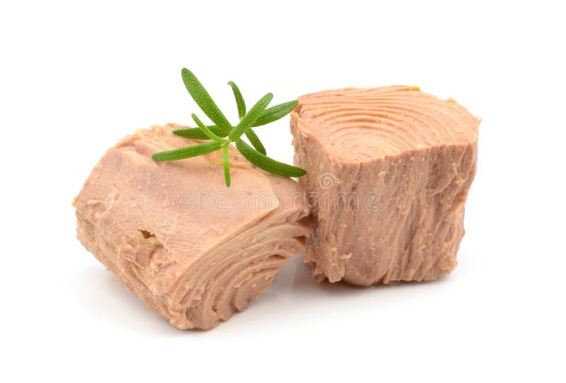 Tuna cuts stock photo. Image of meat, rosemary, food - 311923306