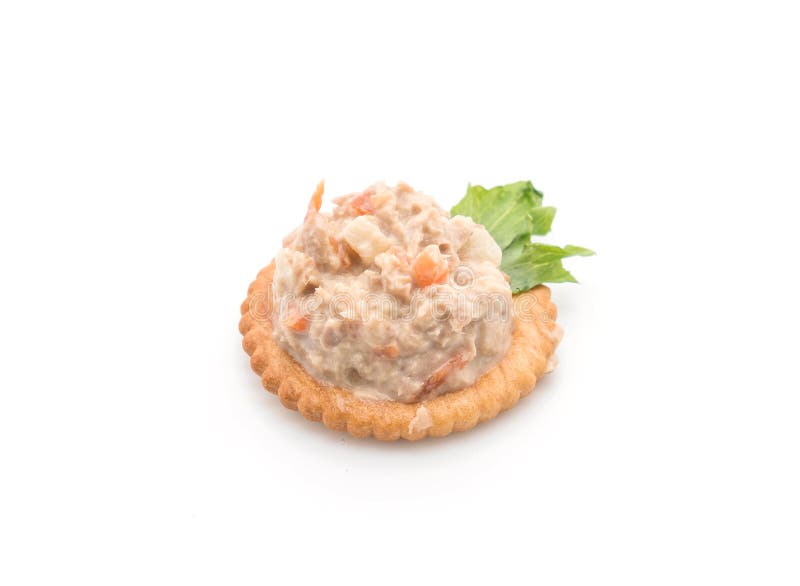 Tuna salad with cracker stock image. Image of delicious - 95568533