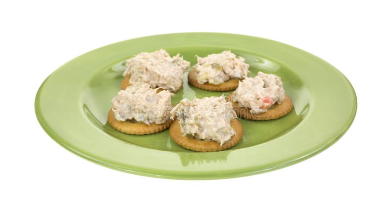 Tuna salad on crackers stock photo. Image of portion - 29525828