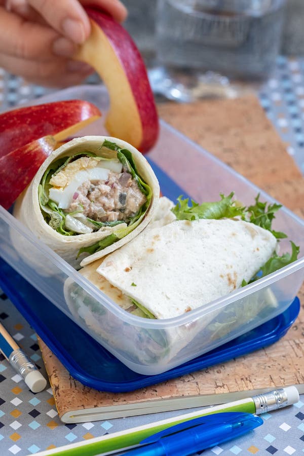 Tuna Salad Wraps in Lunch Box with Apple Stock Photo - Image of food ...