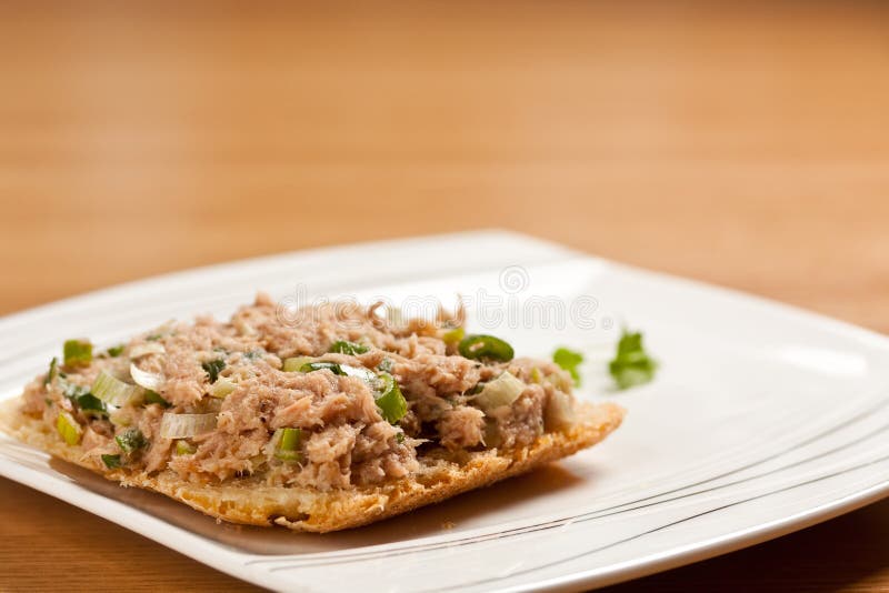 Tuna sandwich stock image. Image of spring, bread, table - 24668861