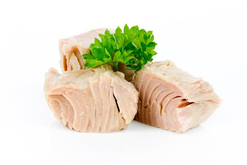 Tuna Fish Isolated on White Stock Photo - Image of fast, meat: 39586946