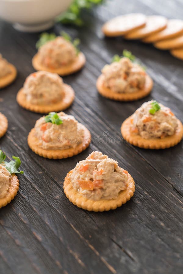 Tuna spread with cracker stock image. Image of salad - 94896031