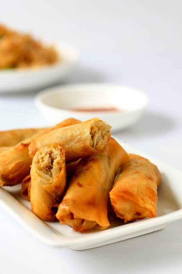 Tuna spring roll stock image. Image of tuna, delicious - 52748111