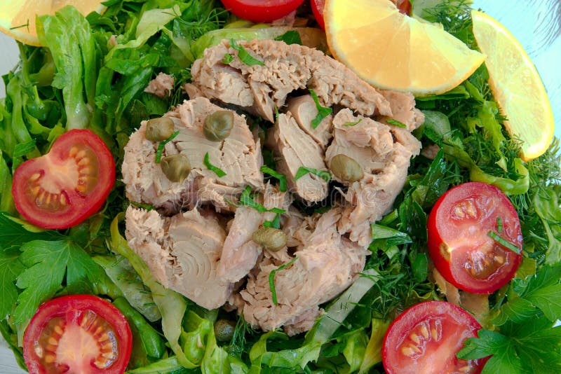 Tuna, tunny stock photo. Image of bowl, refreshment, salad - 10799456