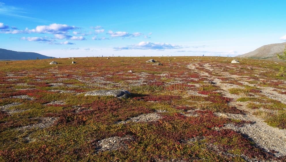 Tundra stock image. Image of rocky, ridge, clear, absence - 5407643