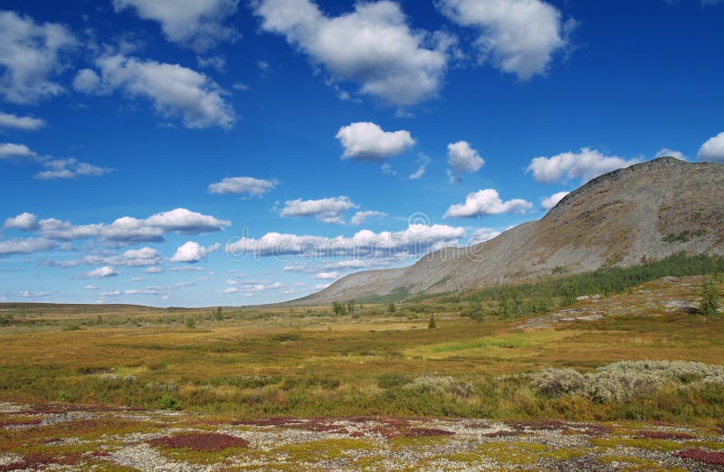 Tundra stock image. Image of ridge, forest, wilderness - 7757709