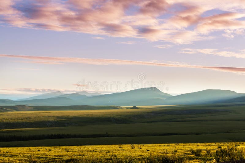 Tundra in Alaska stock photo. Image of leaf, landscape - 203819330
