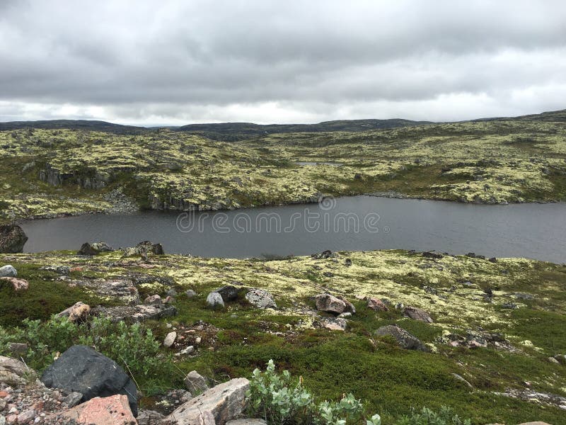 Tundra stock image. Image of landscape, region, arctic - 90441107