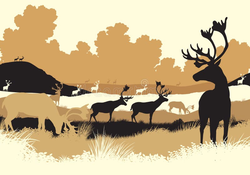 Tundra Ilustraciones Stock, Vectores, Y Clipart – (27,079 Ilustraciones ...