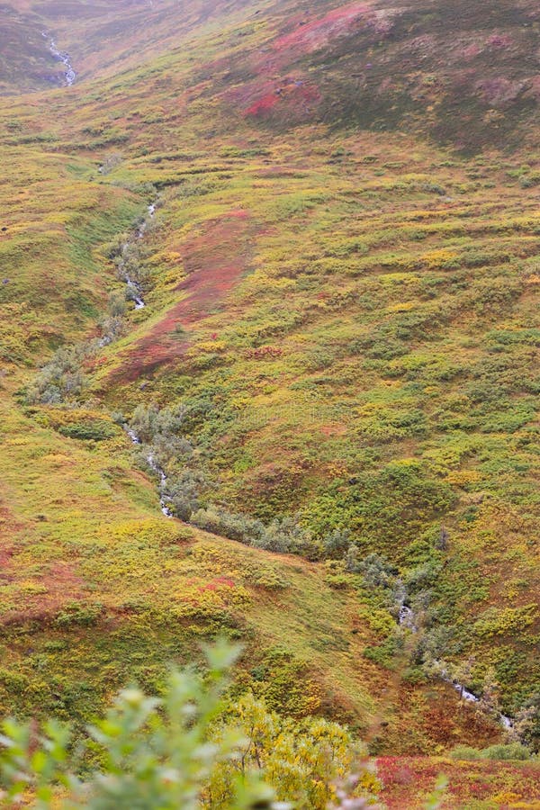 Tundra Growing Along the Mountains in Hatcher Pass, Alaska Stock Photo ...
