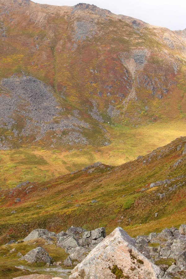 Tundra Growing Along the Mountains in Hatcher Pass, Alaska Stock Photo ...