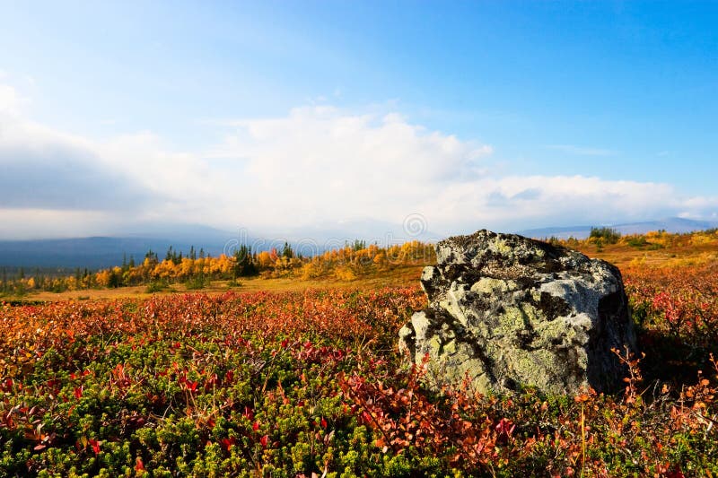 Tundra landscape stock image. Image of stone, wilderness - 20310529