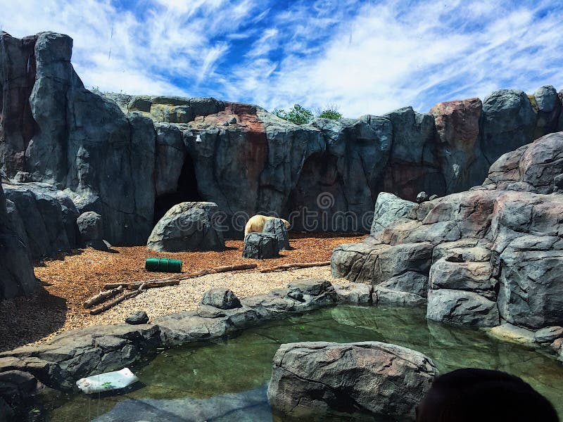 Tundra view stock image. Image of colours, tundra, rocks - 96878581