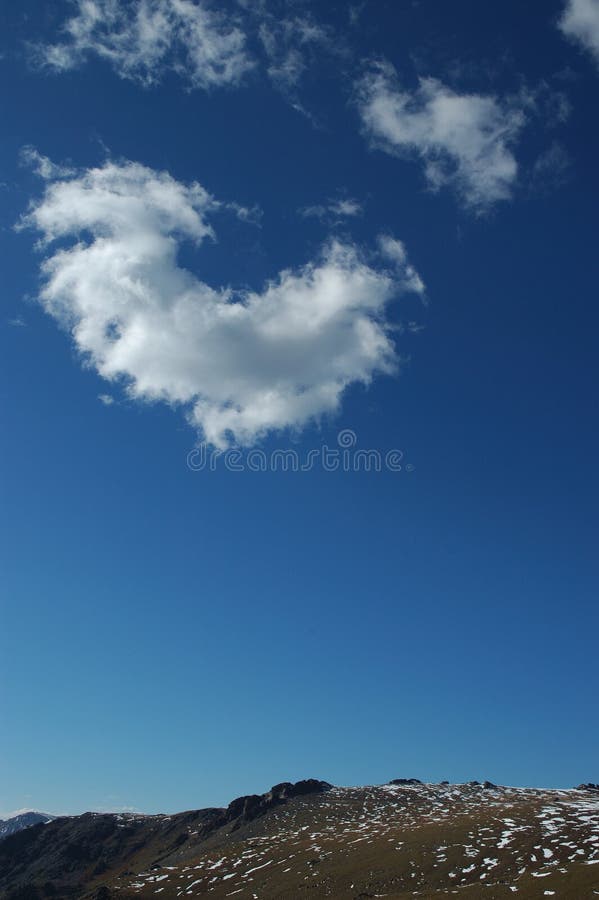 102 3 Plants Mmespelagic Zone Stock Photos - Free & Royalty-Free Stock ...