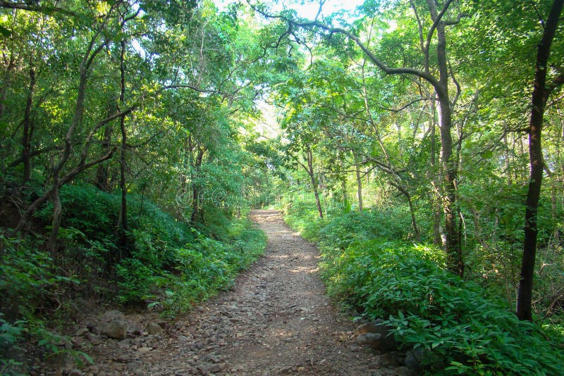 Tungareshwar Wildlife Stock Photos - Free & Royalty-Free Stock Photos ...