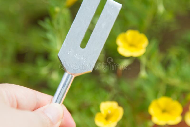 Tuning Fork and Crystal Stone on Table . Stock Image - Image of ...