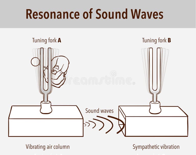 Tuning Fork Resonance Experiment. when One Tuning Fork is Struck, the ...
