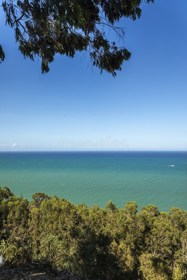 Medina in Tunis editorial stock image. Image of africa - 57843899