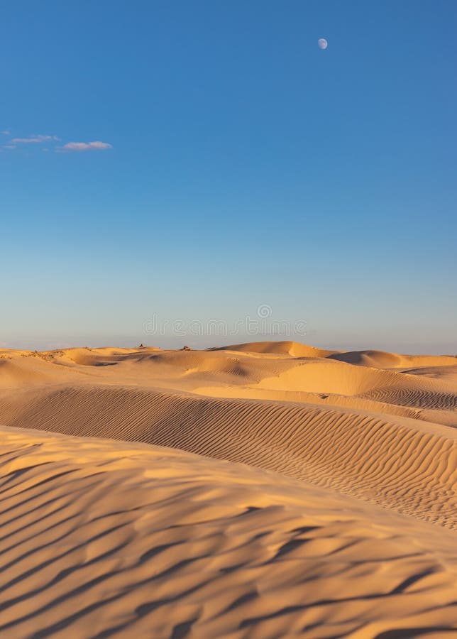 Tunisia Desert near Douz stock image. Image of sand - 383099589