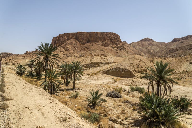 Tunisia oasis town stock photo. Image of throat, town - 55367554