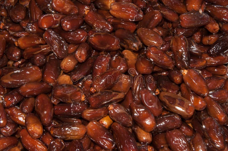 Tunisian Dates stock image. Image of agriculture, natural - 42930423