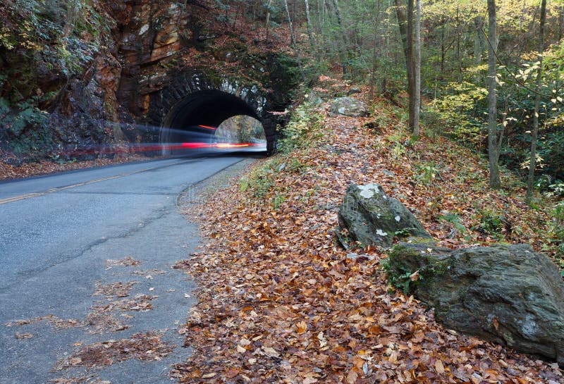 Tunnel with Autum Leaves and Trail Lights Stock Image - Image of travel ...