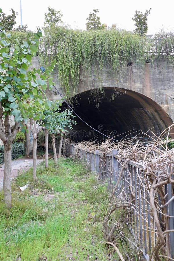 Tunnel overgrown path stock photo. Image of outdoors - 373766174
