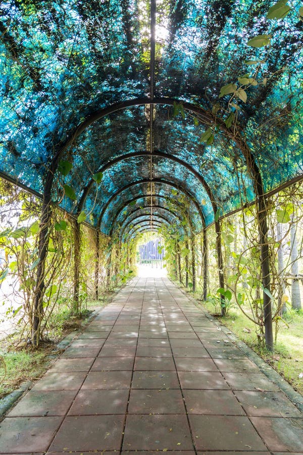 Tunnel Path Tree Green Shady Stock Image - Image of travel, summer ...
