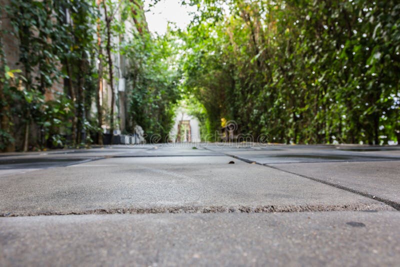 Tunnel Pathway Covered with Green Leaves Stock Photo - Image of pathway ...