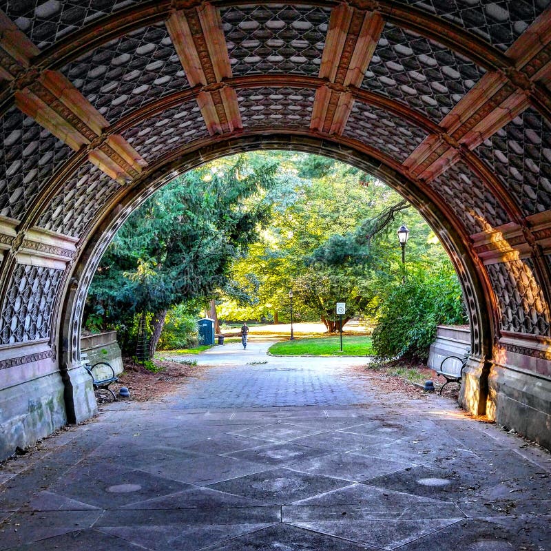 Tunnel Prospect Park Trees Spring Editorial Photography - Image of ...