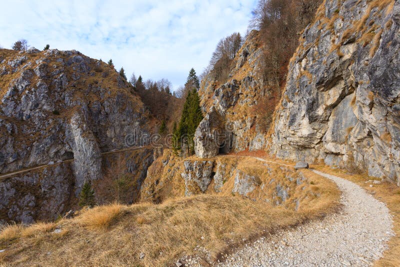 Tunnel in rock stock photo. Image of green, grass, rocks - 66622100