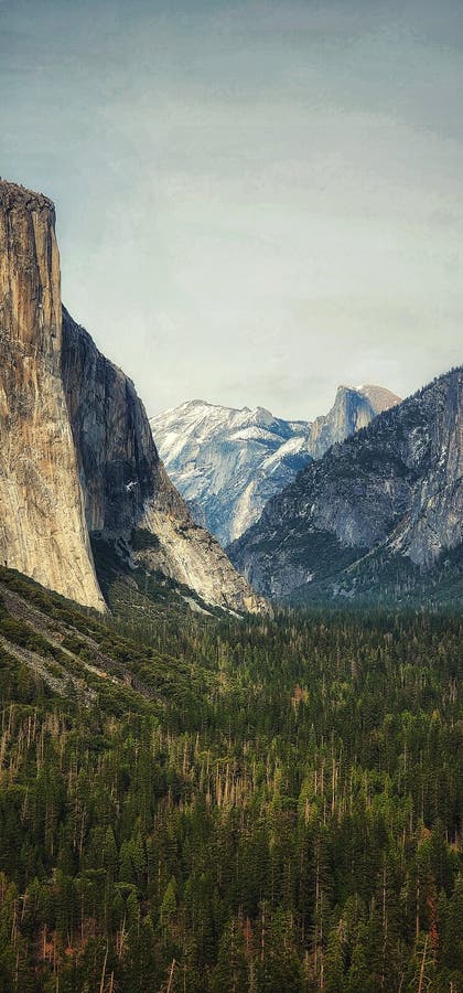 Tunnel View Yosemite stock photo. Image of valley, plateau - 246373906