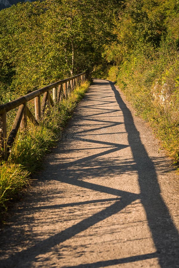 Tunnel Way in Nature Asturias Spain Stock Photo - Image of hiking ...