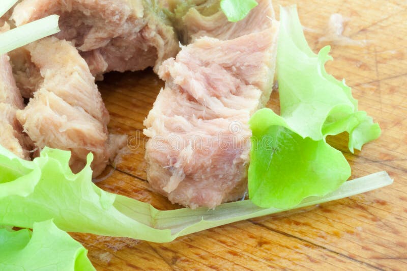 Tunny and salad stock image. Image of appetizing, protein - 47321673