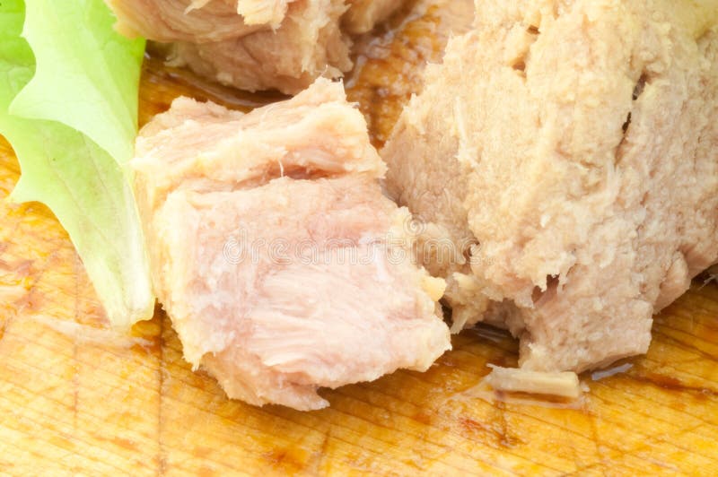Tunny and salad stock photo. Image of meat, salad, lettuce - 47323874
