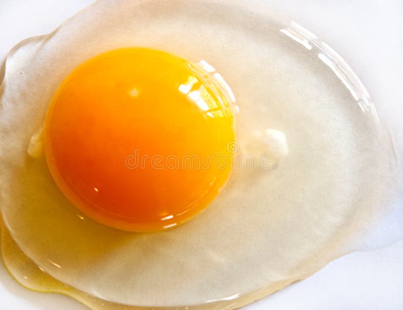 Tuorlo d'uovo immagine stock. Immagine di ricetta, tuorlo - 8739665