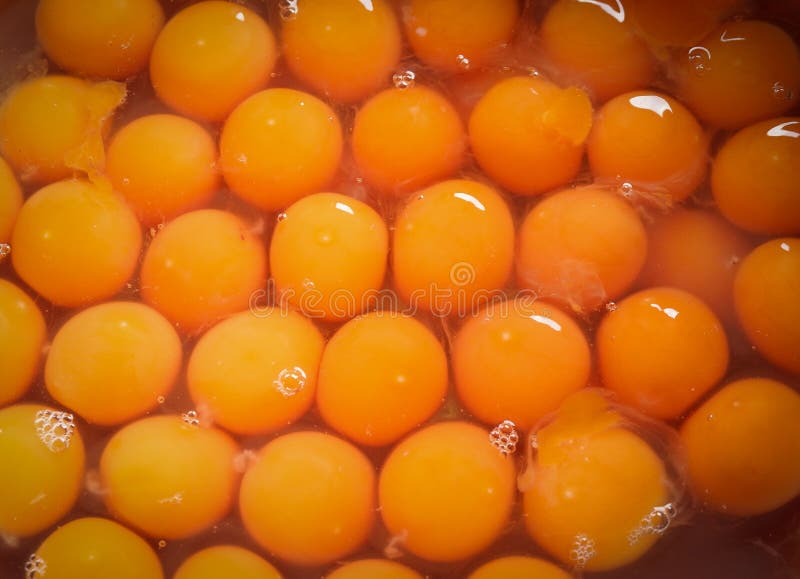 Tuorlo d'uovo fotografia stock. Immagine di guscio, nave - 91430182