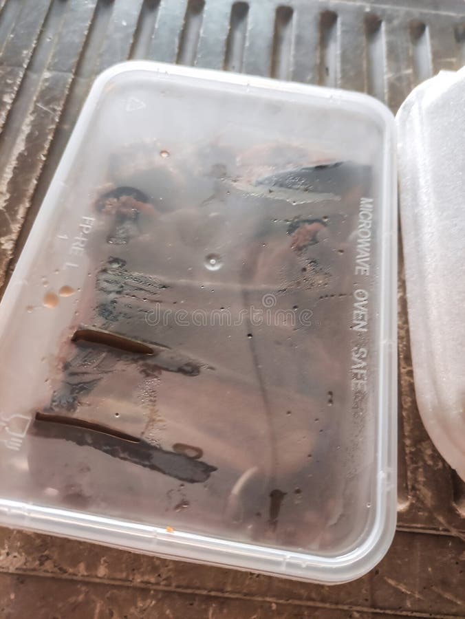 Tupperware Zoo Animals Stock Photos - Free & Royalty-Free Stock Photos ...