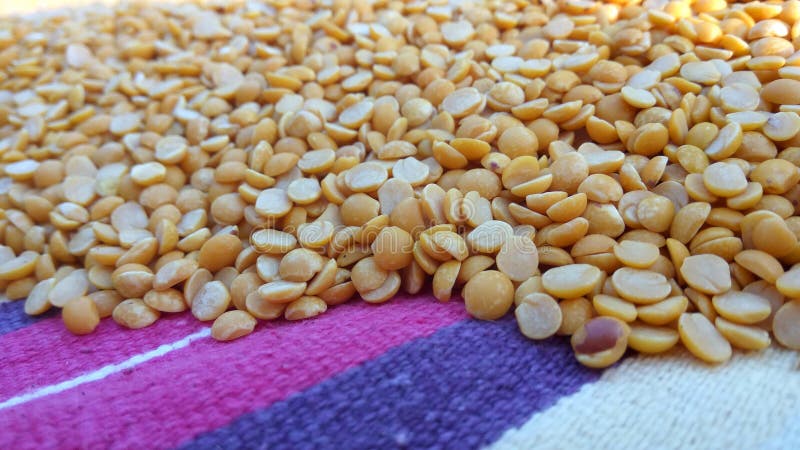 Tur Dal stock image. Image of beans, food, process, vegetables - 113254313