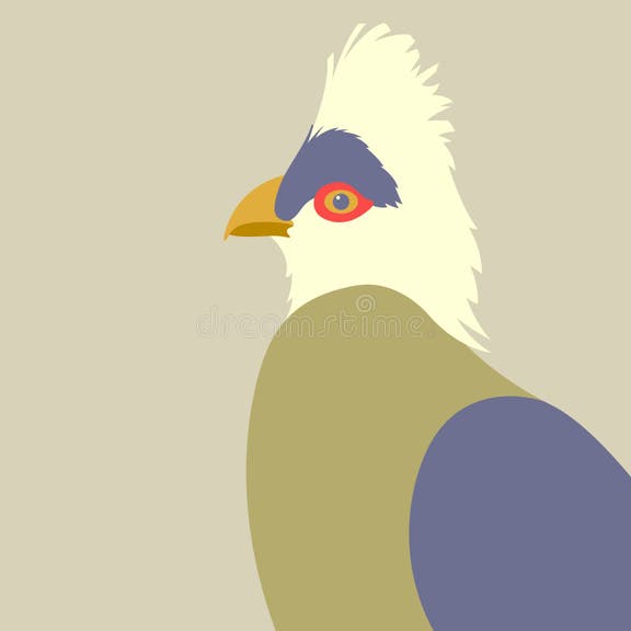 Turaco Bird Vector Illustration Flat Style Profile Stock Vector ...