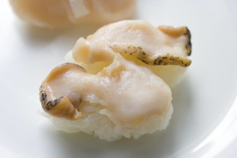 Turban shell sushi stock photo. Image of calory, asia - 10126710