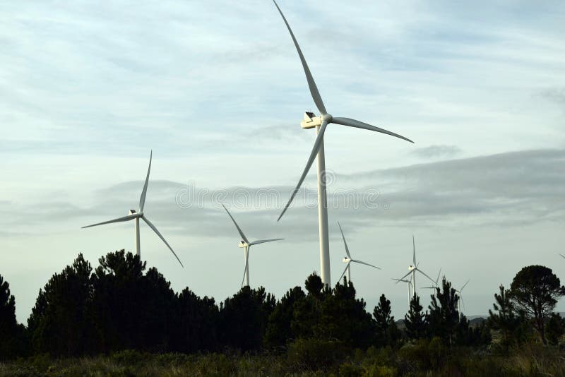 Turbines and trees stock image. Image of next, high, dawn - 93226781