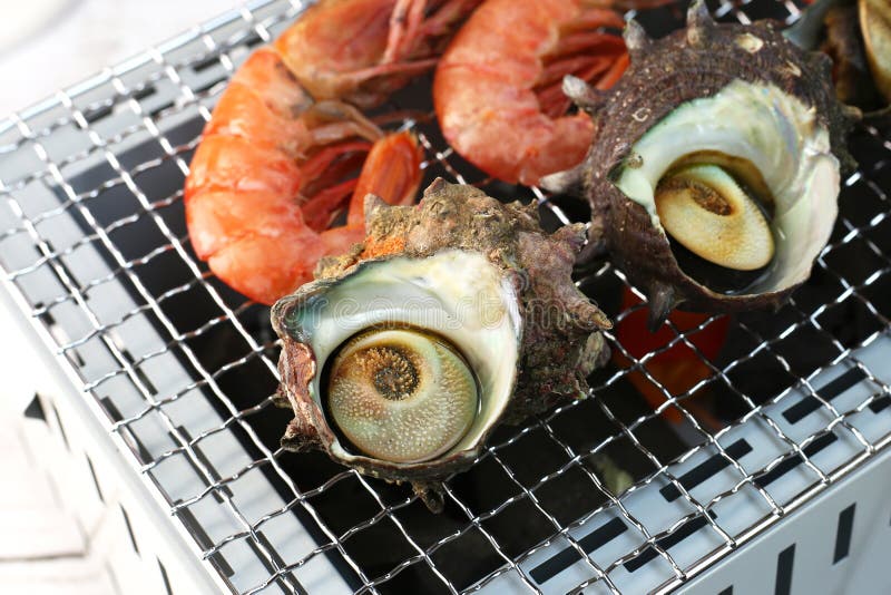 234 Turban Shell Stock Photos - Free & Royalty-Free Stock Photos from ...