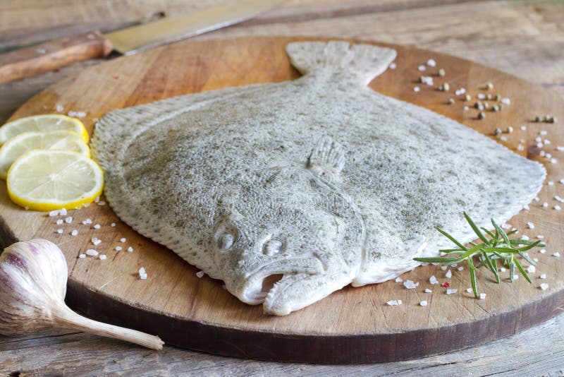 Turbot ( fish ) stock image. Image of dinner, appetizer - 38219981