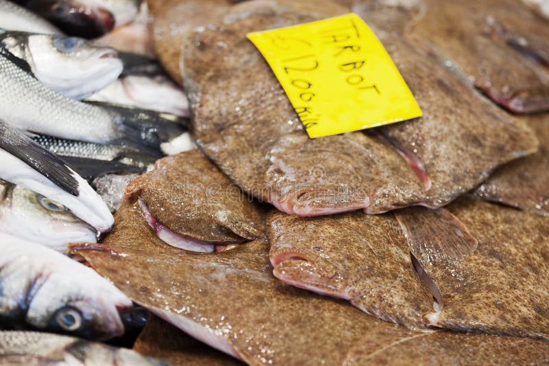 Platfish Stock Photos - Free & Royalty-Free Stock Photos from Dreamstime