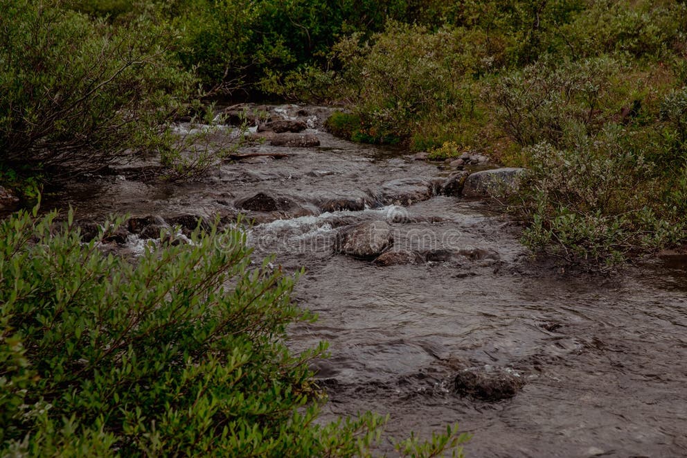 Turbulent River Flows among the Forest and Mountains Stock Image ...