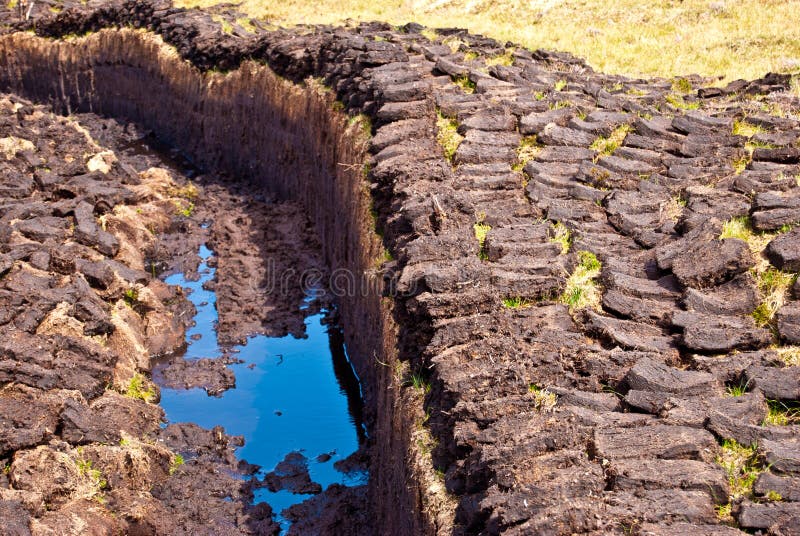 Turf stock photo. Image of agricultural, closeup, background - 26097696